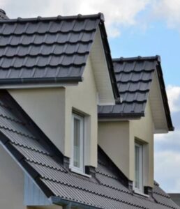 Full List of Different Types of Dumu Zas Mabati and Their Cost ...