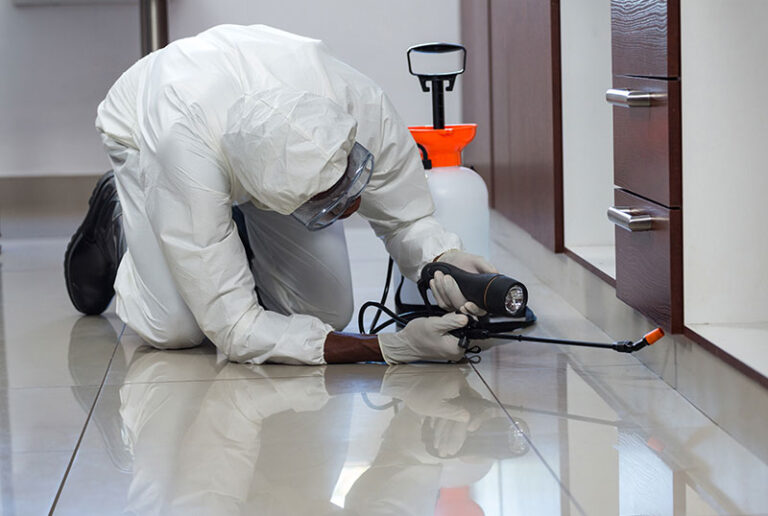 Full List of Best Fumigation Companies in Kenya & Contacts - Business Radar