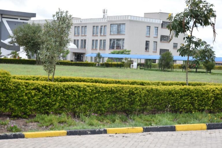 Umma University Nursing Fee Structure: Everything You Need to Know ...